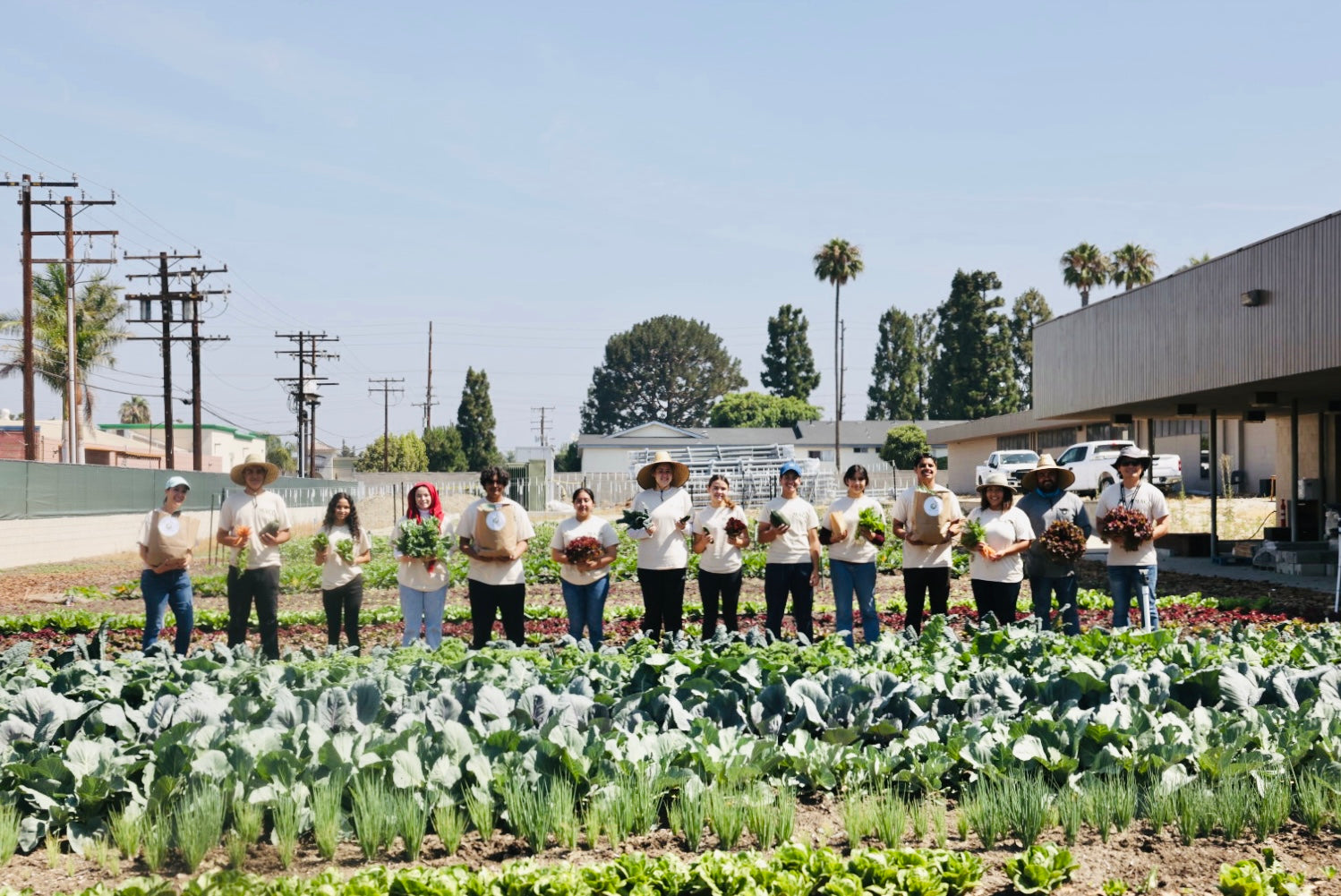 High School Inc. Academies Foundation